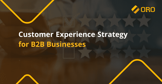 Customer Experience Strategy for B2B Businesses | OroCommerce