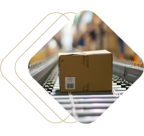 SKU in Supply Chain Management: Definition, Role, and Benefits ...